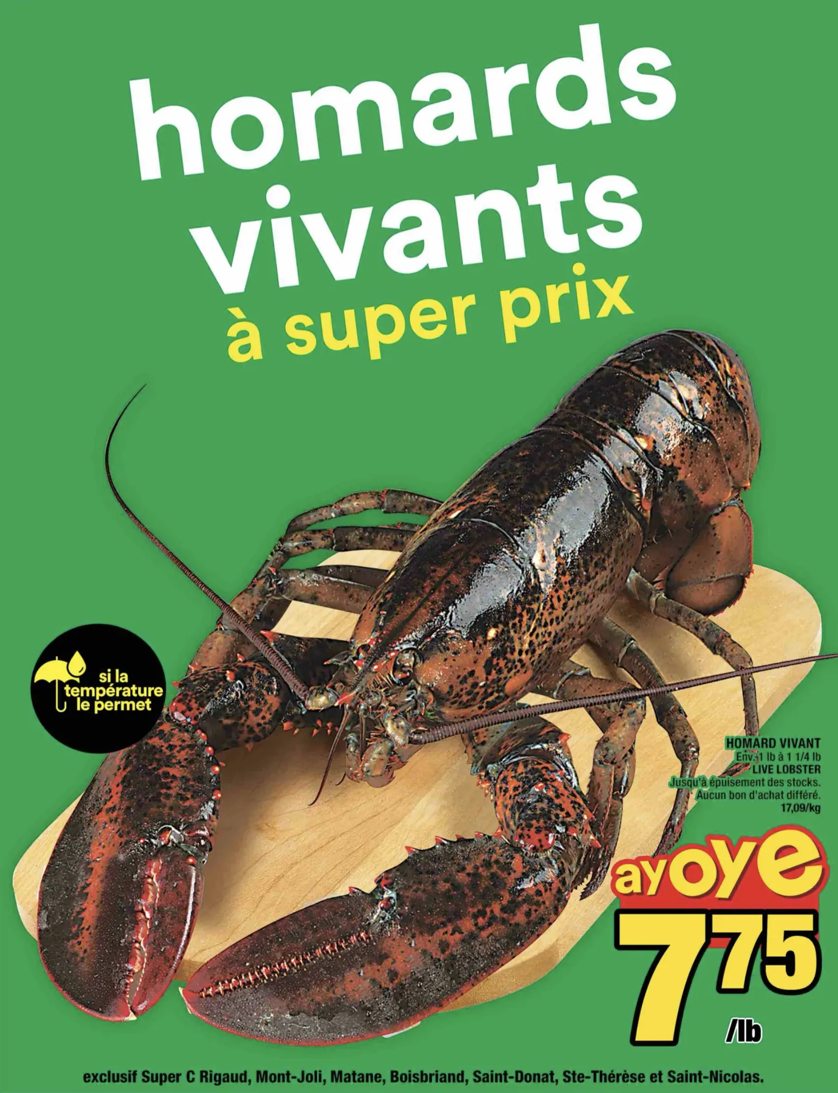 Prix Homard Au Kilo